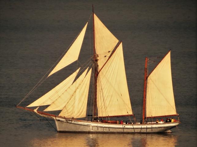 Name Irene | National Historic Ships